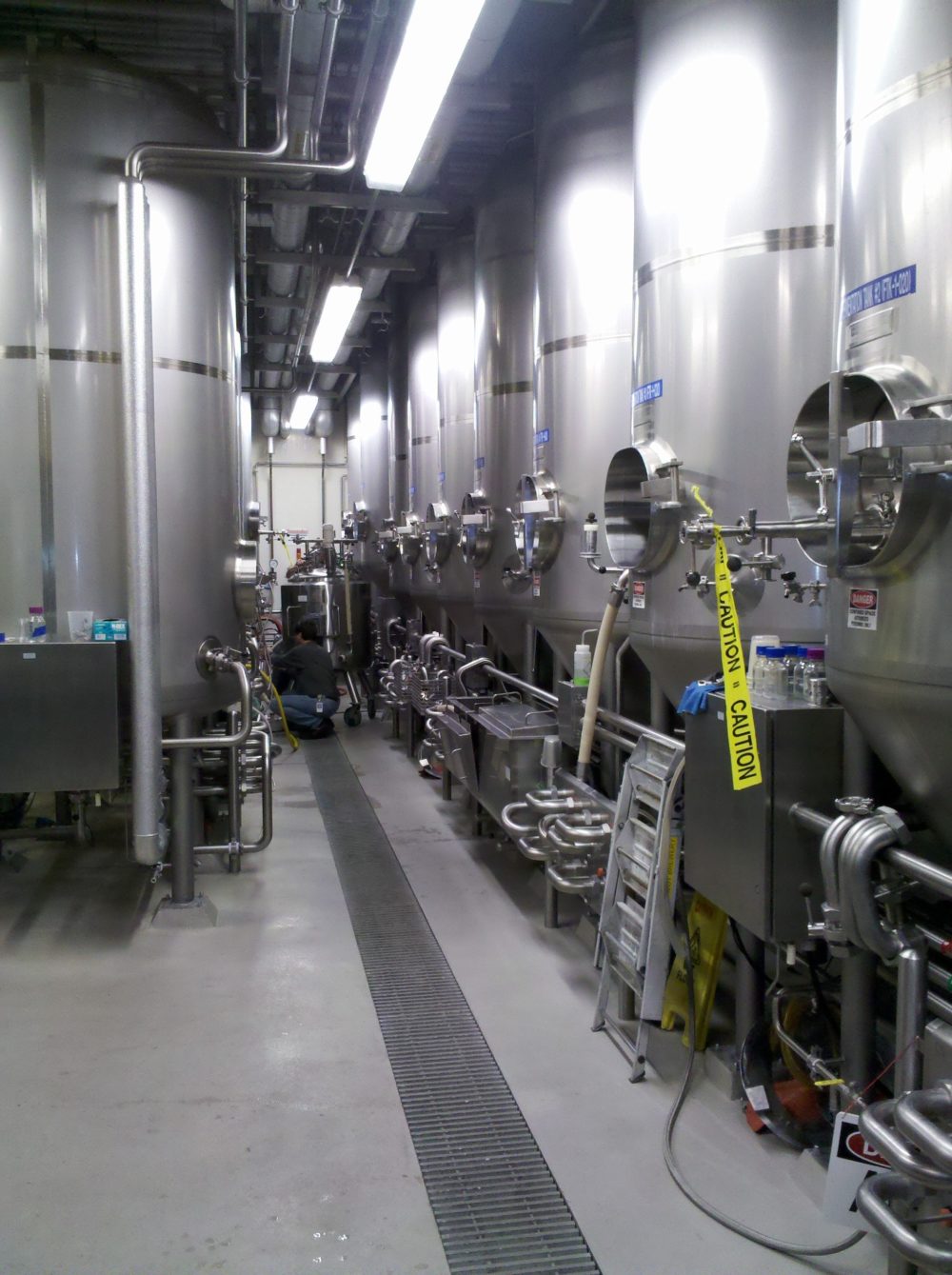 Brewing in Chico for the CBC! - Brewing With Briess