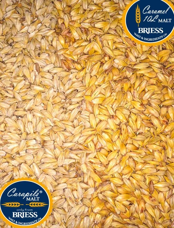 Understanding Carapils® Malt - Brewing With Briess