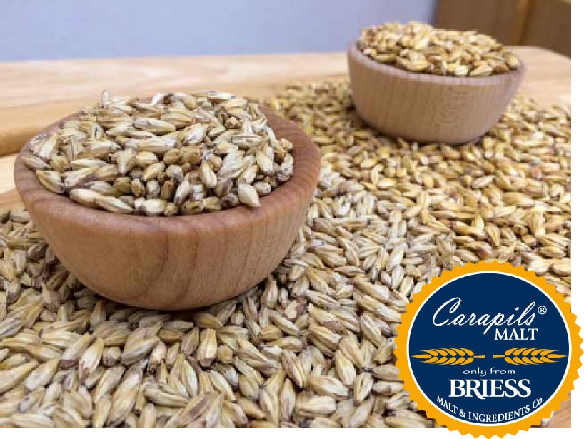 Understanding Carapils® Malt - Brewing With Briess