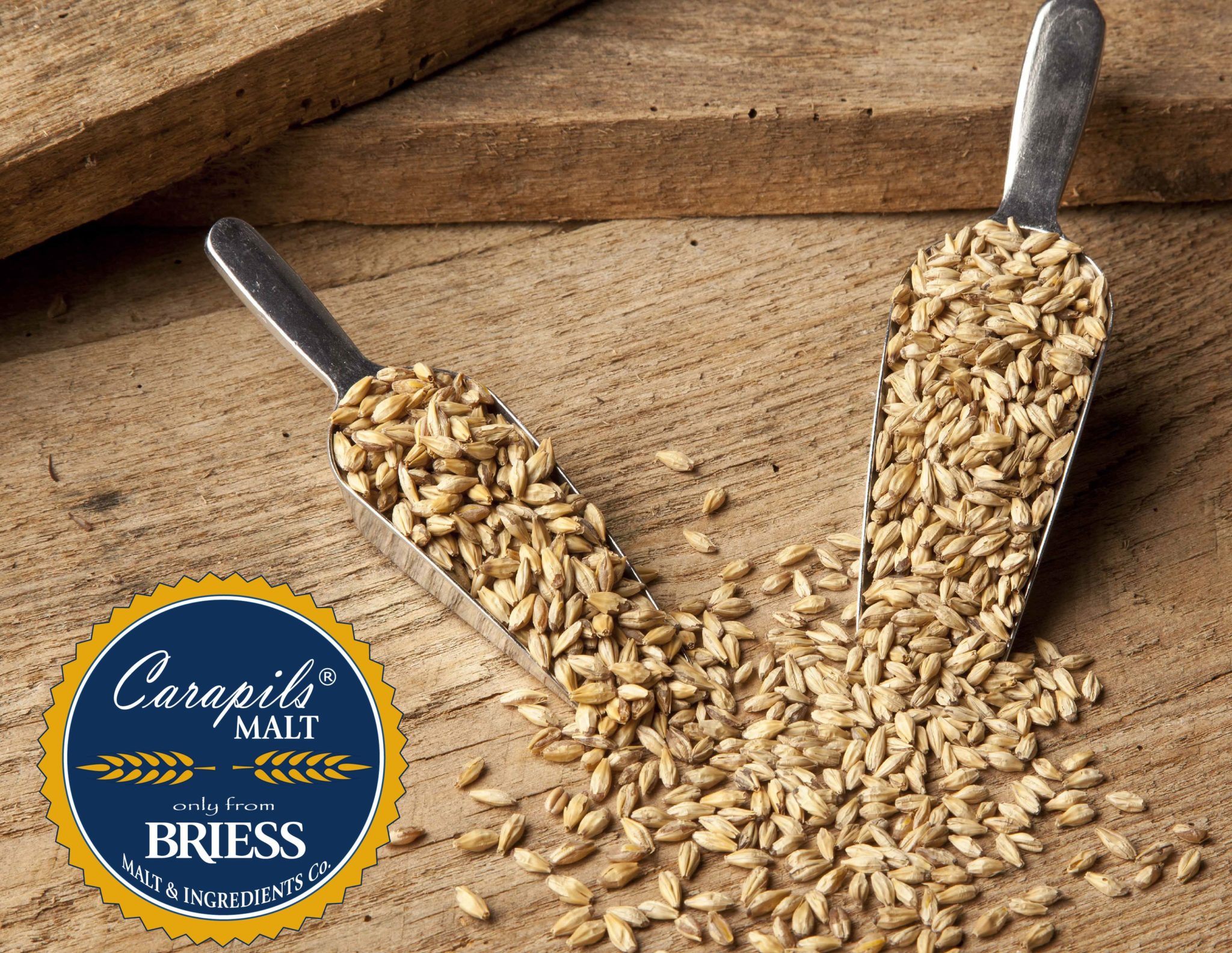 Understanding Carapils® Malt - Brewing With Briess