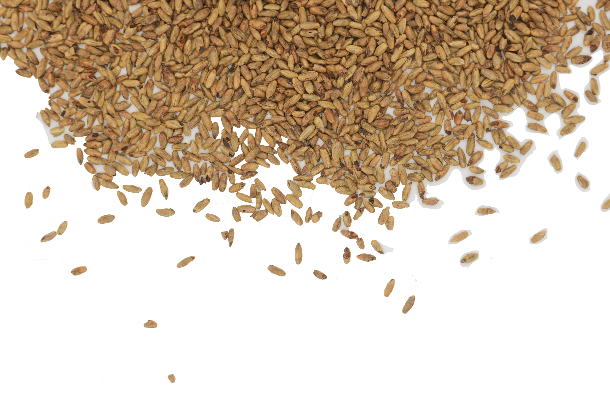 This Subtle but Complex Malt Will Add Character to Your Next Whiskey ...