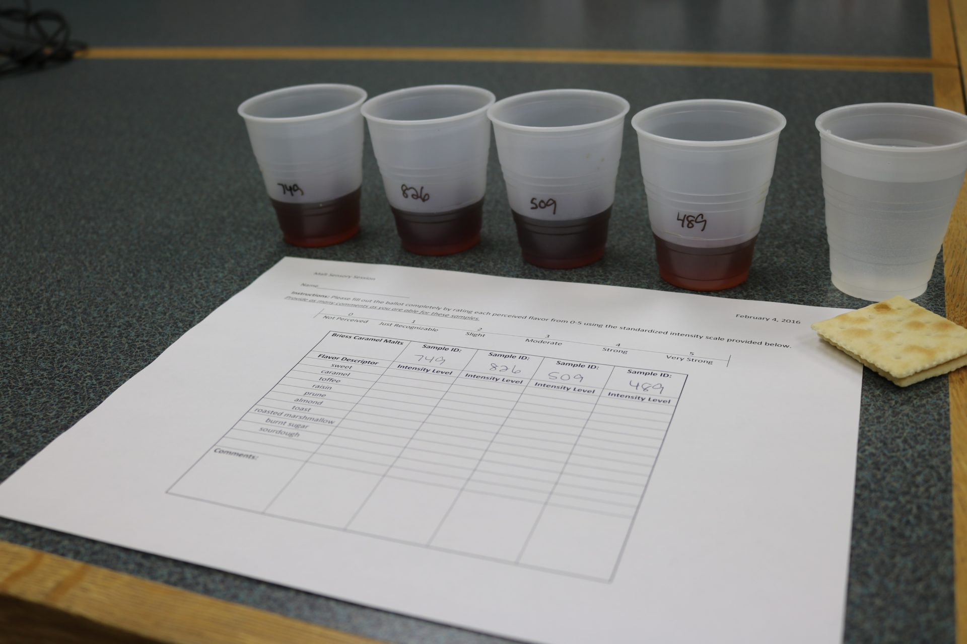 A Practical Approach to Describing Malt Flavors - Brewing With Briess