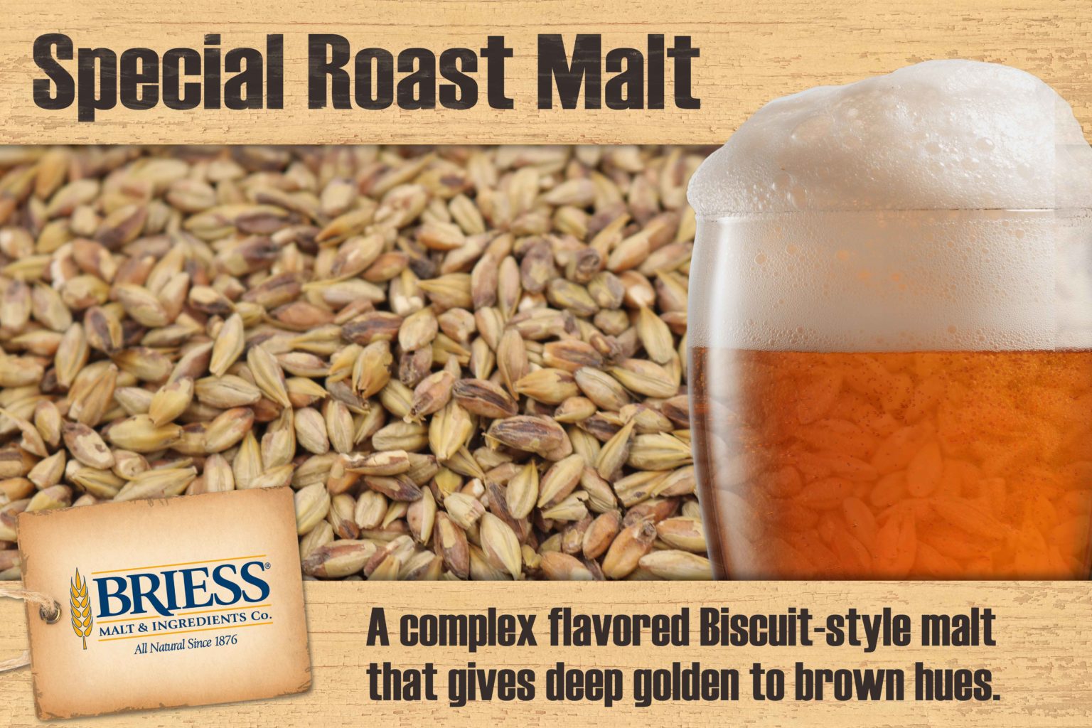 Malt of the Month: Special Roast - Brewing With Briess