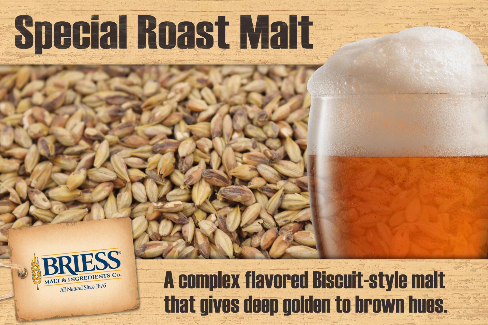 Malt of the Month: Special Roast - Brewing With Briess