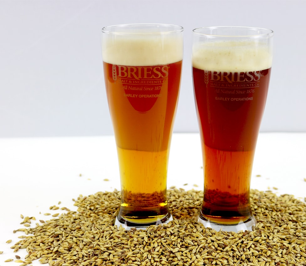 A sneak peek at two new malts: Synergy Select Pilsen Malt and Carapils ...