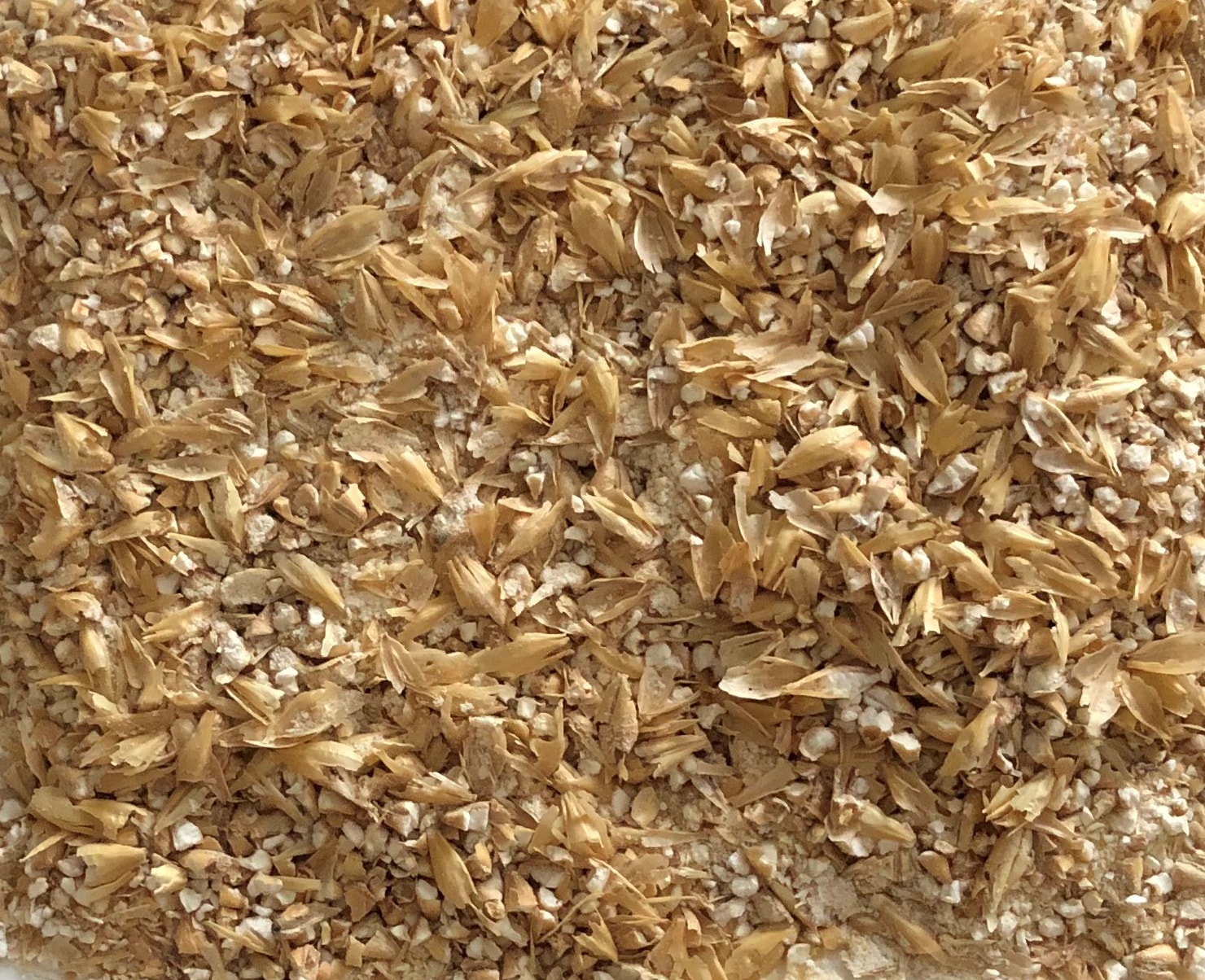 Introducing MaltGems® — Heart of the Malt for Clean Flavor! - Brewing ...