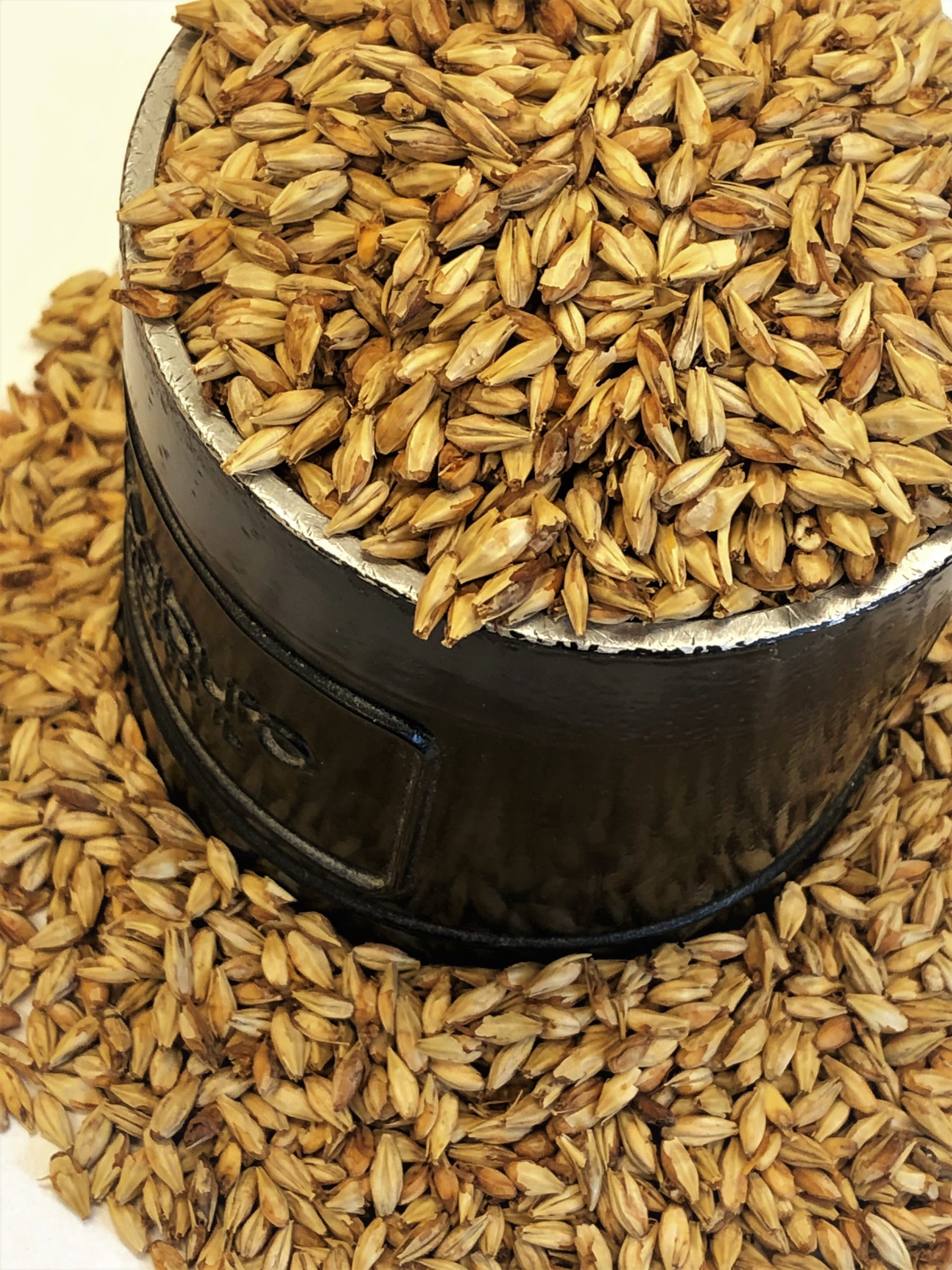 Introducing American Honey Malt! - Brewing With Briess