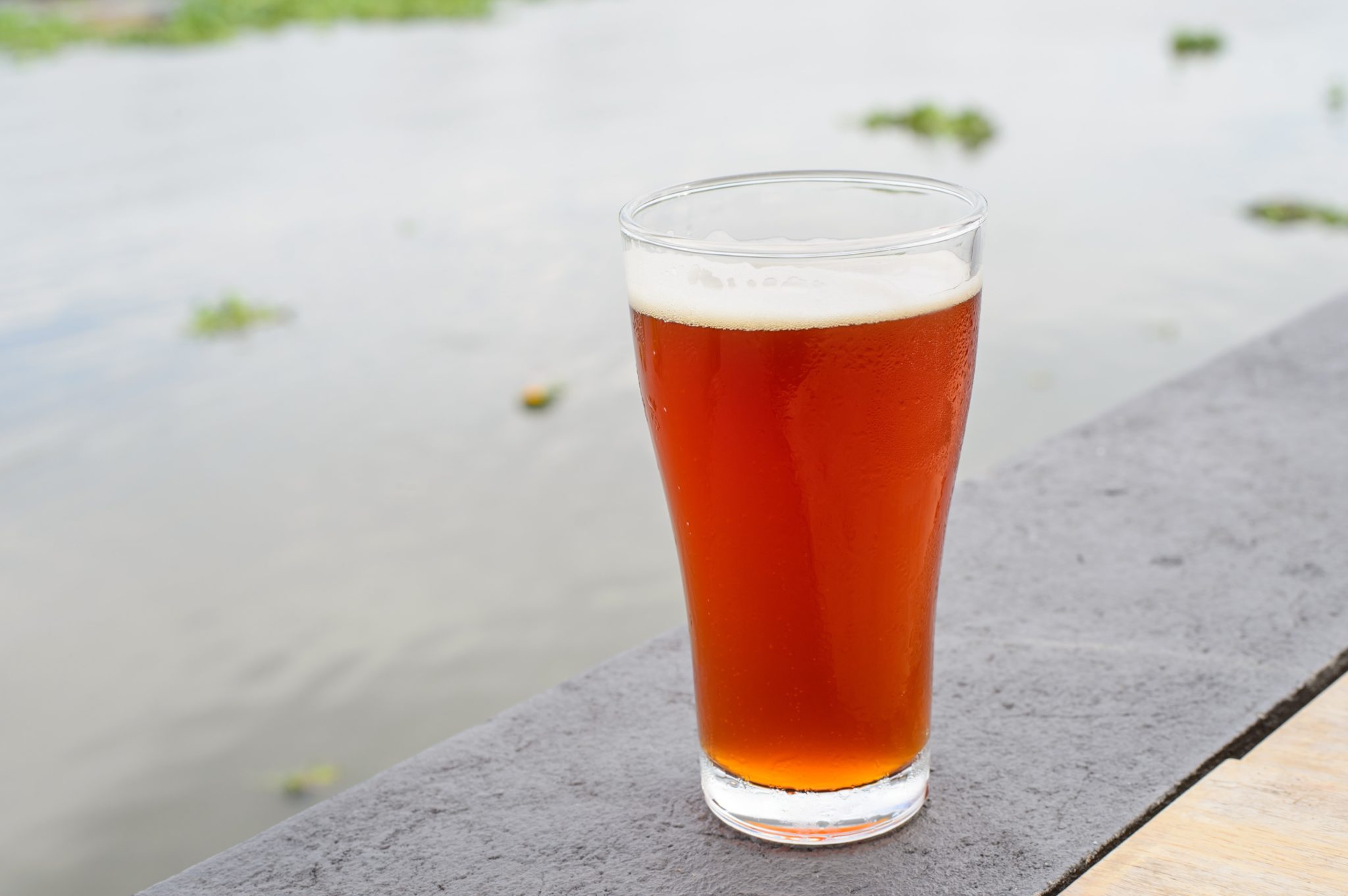 Introducing American Honey Malt! - Brewing With Briess