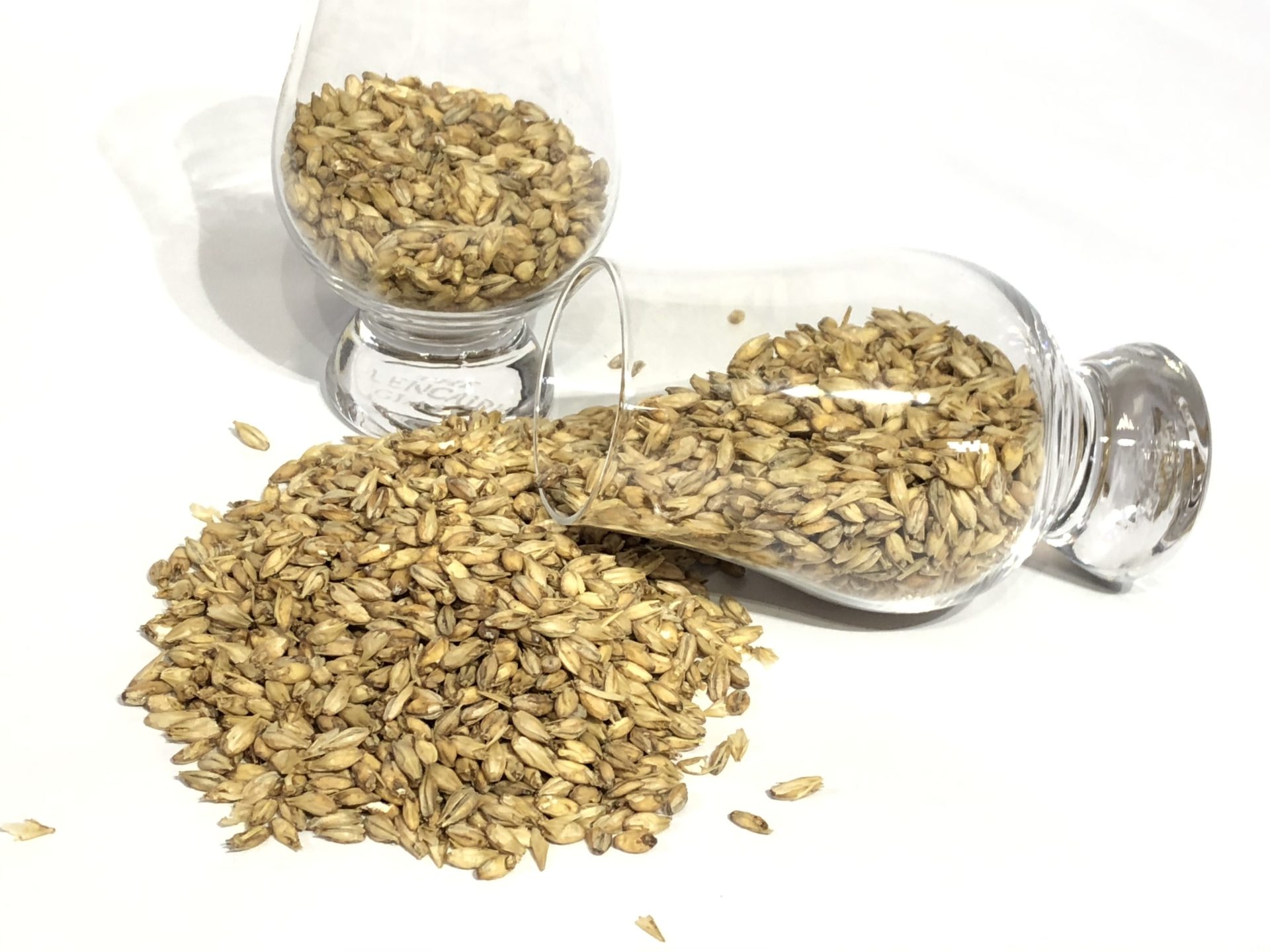 Introducing Non-GN Odyssey Whiskey Malt! - Brewing With Briess