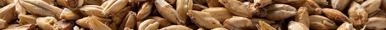 Find Your Perfect Malt - Brewing With Briess