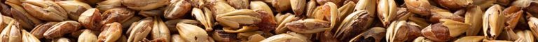 Roasted Caramel Malts - Brewing With Briess