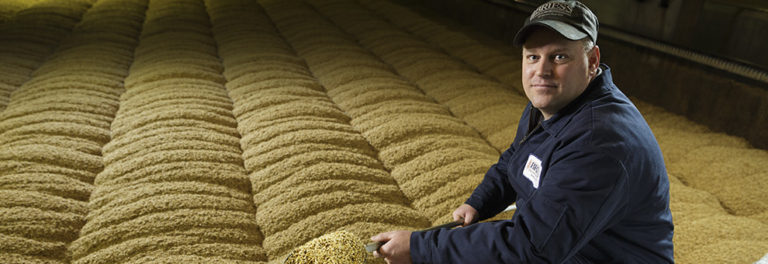 The Malting Process - Brewing With Briess
