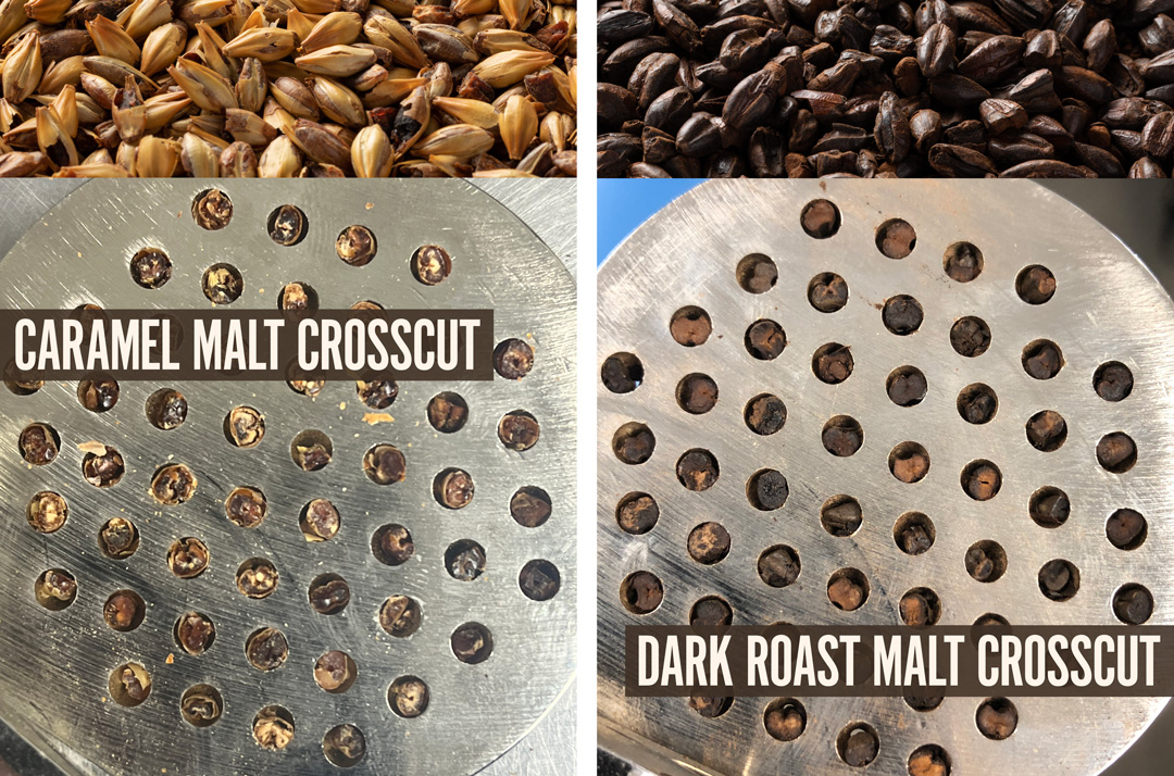 Hot Steeping as a Brewing Technique - Brewing With Briess