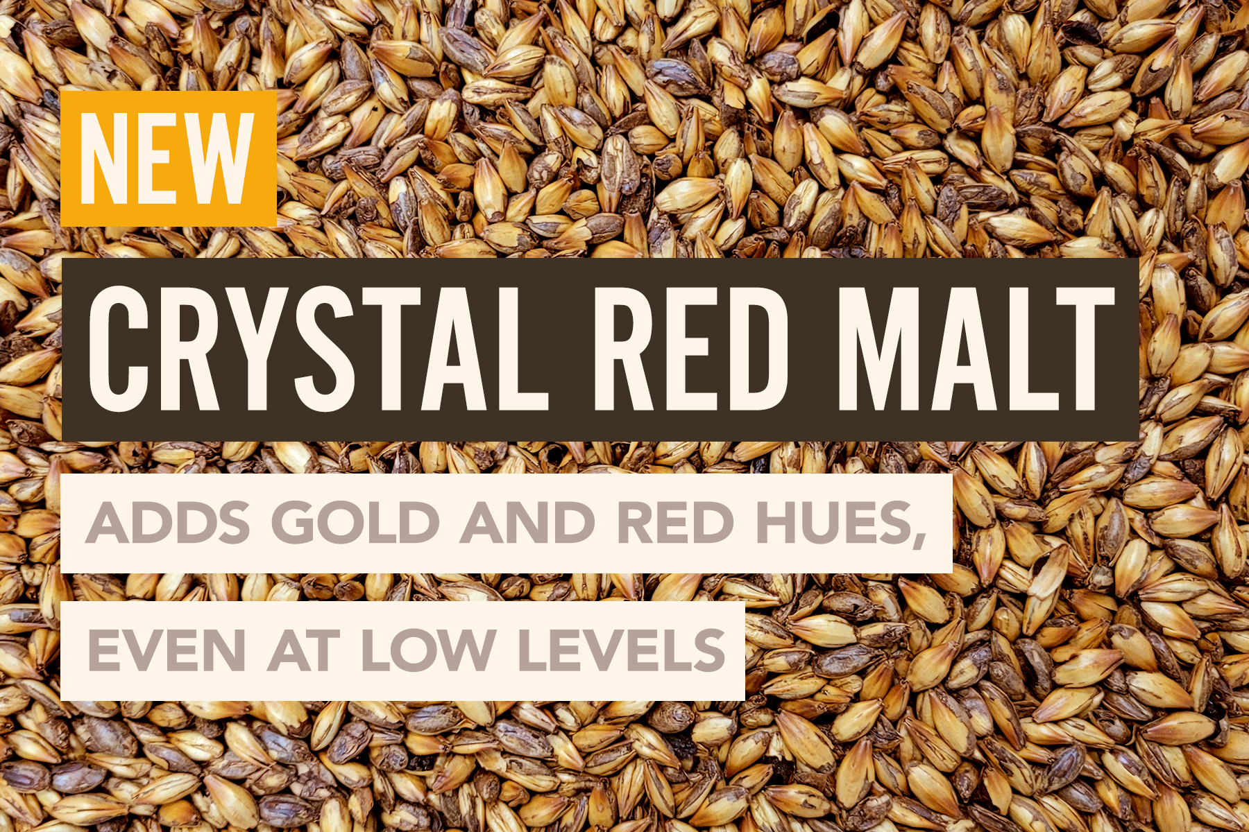 Introducing Crystal Red® and a Caramel Malt User’s Manual for the ...