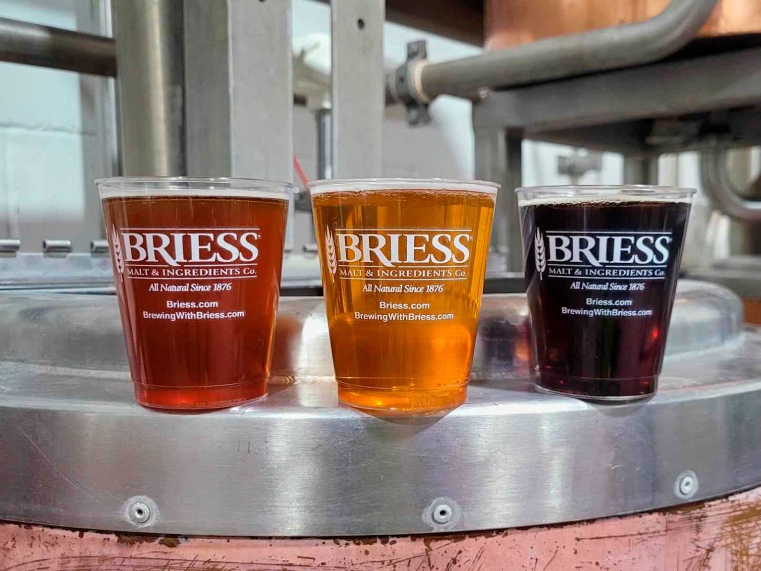 Heritage Gold™ - A Proper Name for a Proper Malt - Brewing With Briess