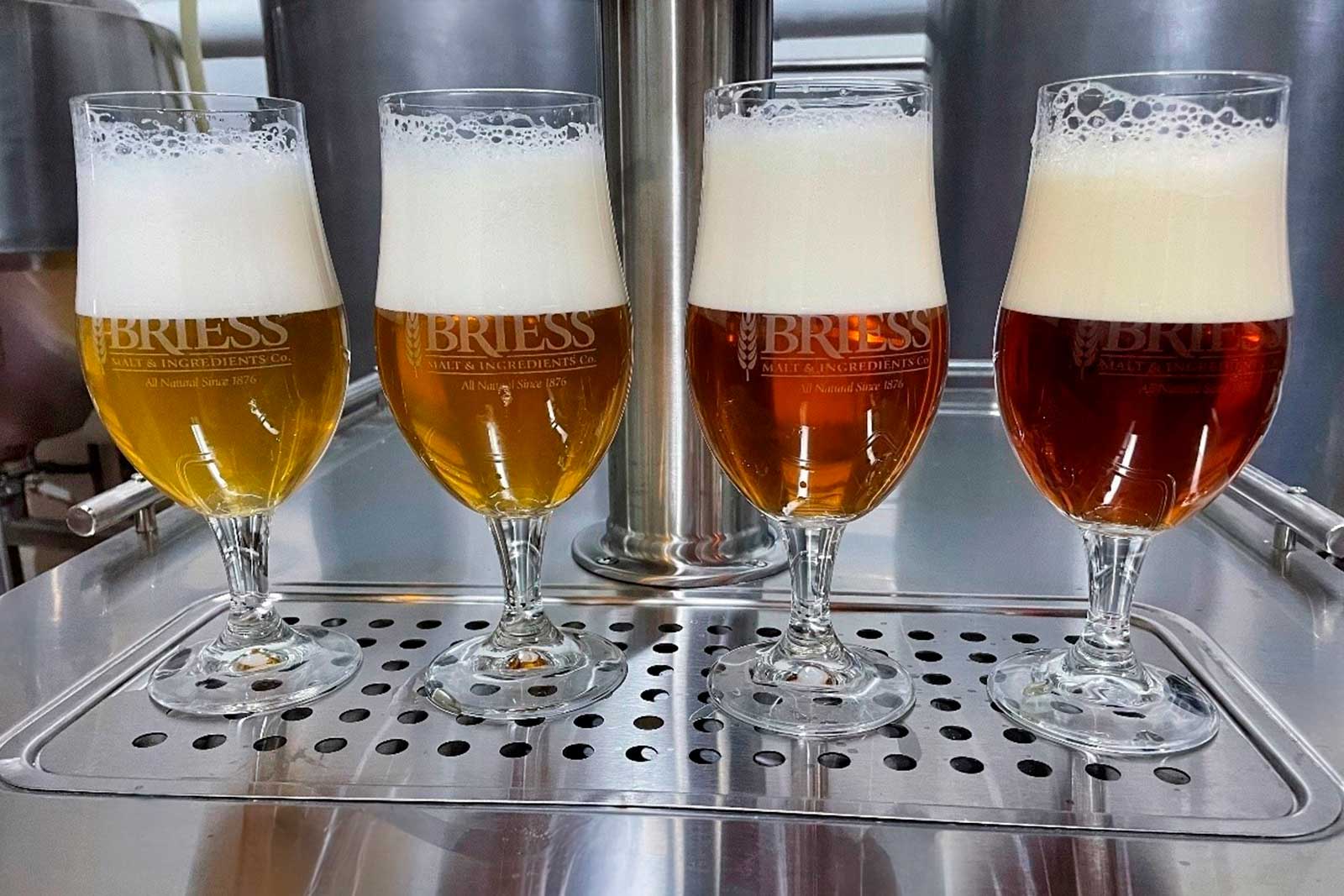 Who Turned Up the Heat? - Brewing With Briess