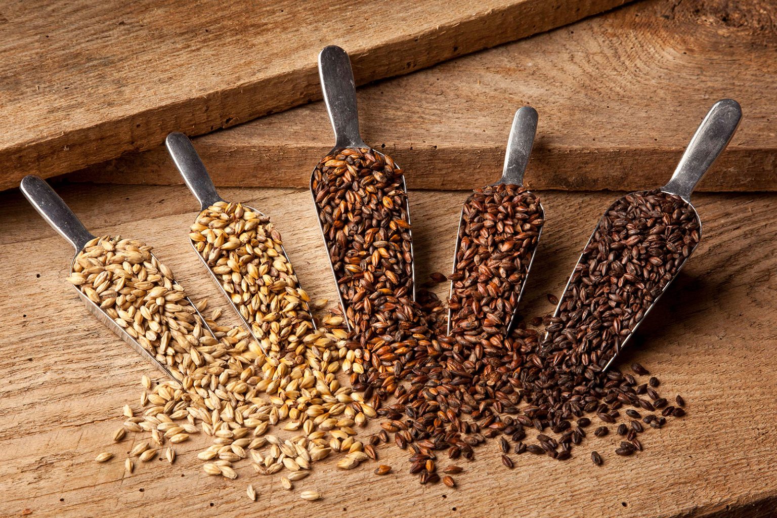 Organic Malt Production: It’s Not Easy Being Green - Brewing With Briess