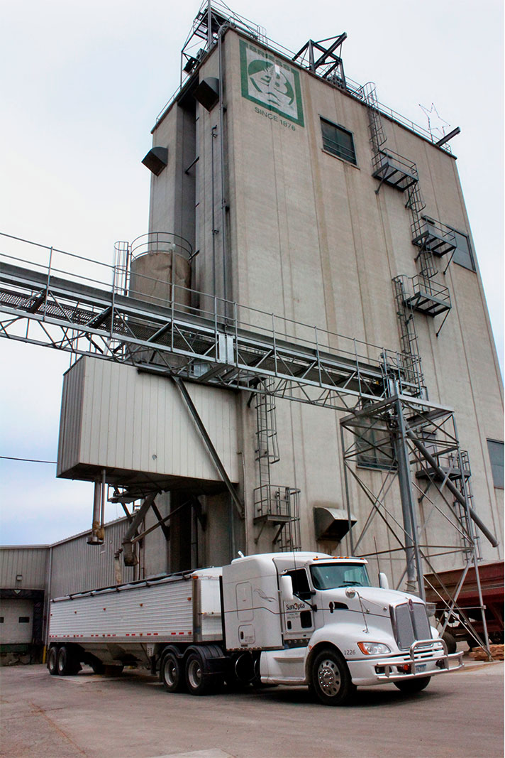 A Deep Dive into Brewing Flakes: What They Are and Why They Matter ...